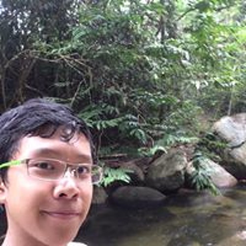 Stream Joshua Loh Yj | Listen to Minecraft playlist online for free on ...