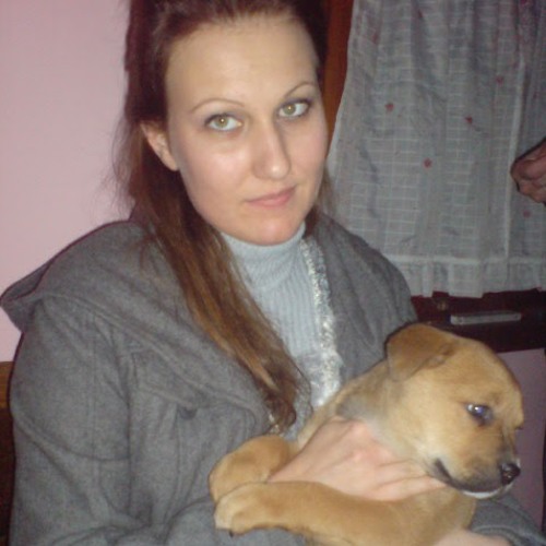 Stream Sanja Cosic 2 | Listen to Dado playlist online for free on ...