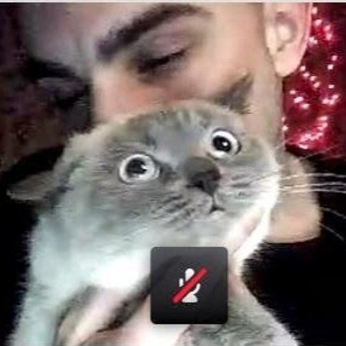 Stream Sigma Slave music | Listen to songs, albums, playlists for free ...