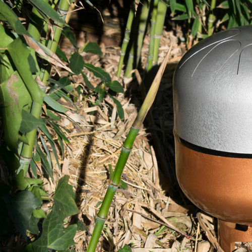 Stream gasdrums.com music | Listen to songs, albums, playlists for free ...