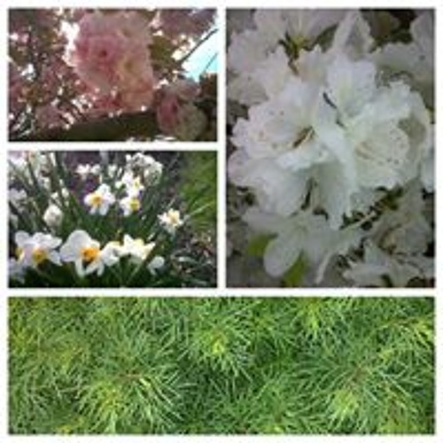 Stream Lydia R. Dougherty music | Listen to songs, albums, playlists ...