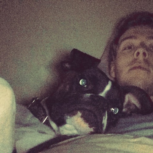 Stream Sean Baser music | Listen to songs, albums, playlists for free ...