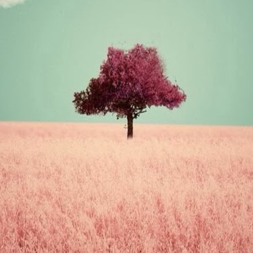 Stream CandiceMurdock music | Listen to songs, albums, playlists for ...