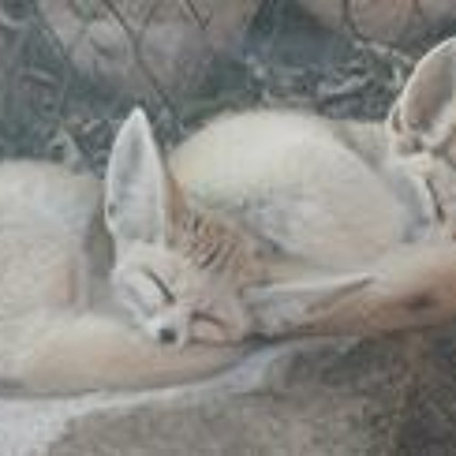 Stream Misaki Kimura's Theme by Jason Rosenberg Windsor | Listen online ...