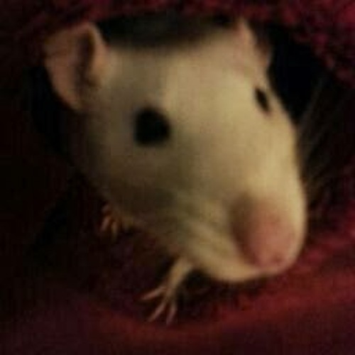 Stream Christel Jones music | Listen to songs, albums, playlists for ...