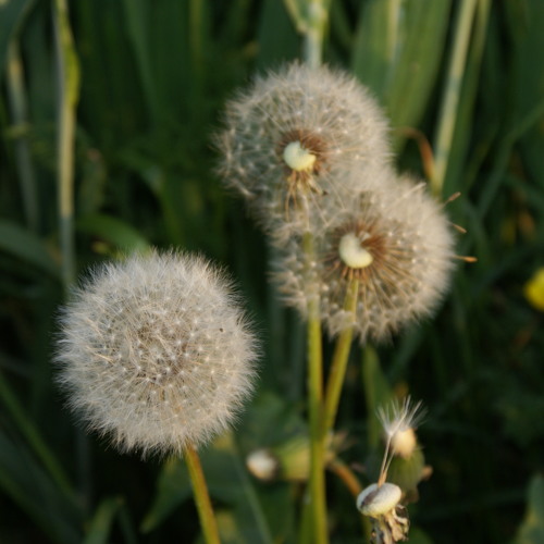 Stream DJ Ref JD Portrait Rafael Kämpfer by menaresch | Listen online ...