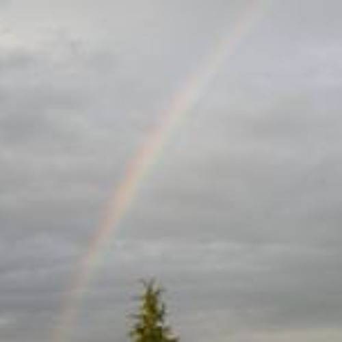 Stream Camille Rounds music | Listen to songs, albums, playlists for ...