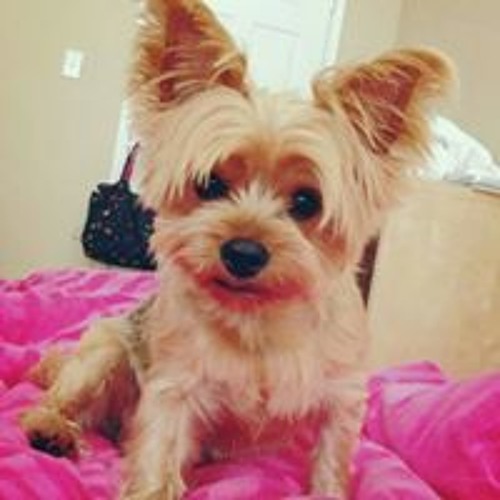 Stream Kay Bauer 1 music | Listen to songs, albums, playlists for free ...