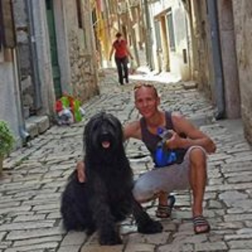 Stream Frank van Rhee 1 music | Listen to songs, albums, playlists for ...