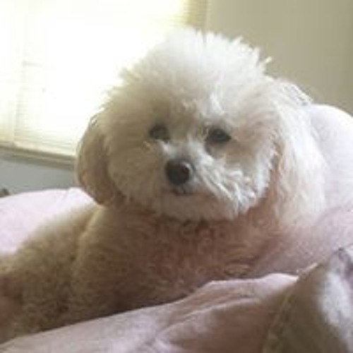 Stream Tasha Wall 2 music | Listen to songs, albums, playlists for free ...