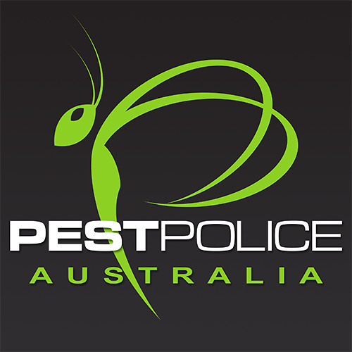Stream Pest Police music | Listen to songs, albums, playlists for free ...