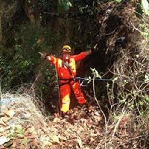 Stream Randy Delgado Perez music | Listen to songs, albums, playlists ...