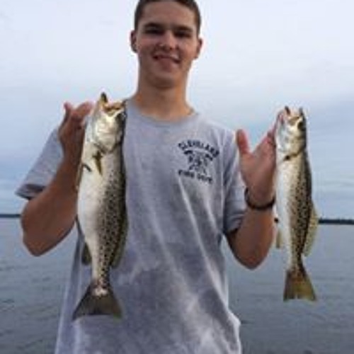 Stream Gage Robinson 4 music | Listen to songs, albums, playlists for ...