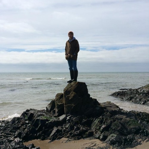 Stream Fergus Collins music | Listen to songs, albums, playlists for ...