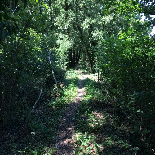 Stream mkhn music | Listen to songs, albums, playlists for free on ...