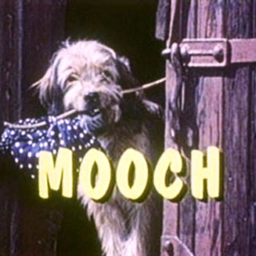 Stream Little Mooch music | Listen to songs, albums, playlists for free ...