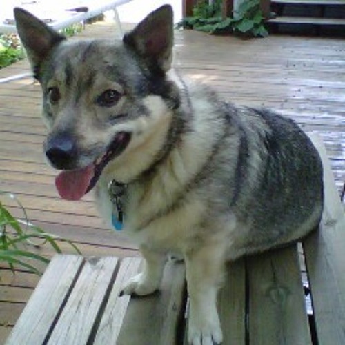 Stream Christopher Shuler music | Listen to songs, albums, playlists ...