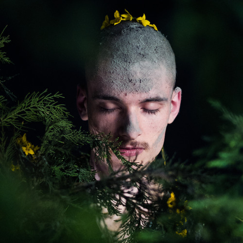 Stream auteurist music | Listen to songs, albums, playlists for free on ...