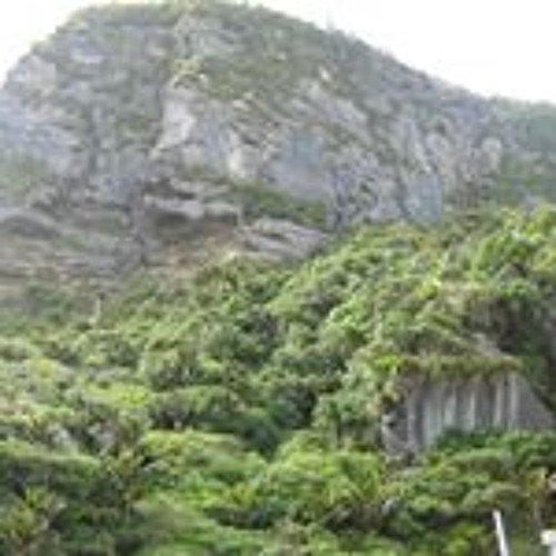 Stream Sandz Peipi music | Listen to songs, albums, playlists for free ...