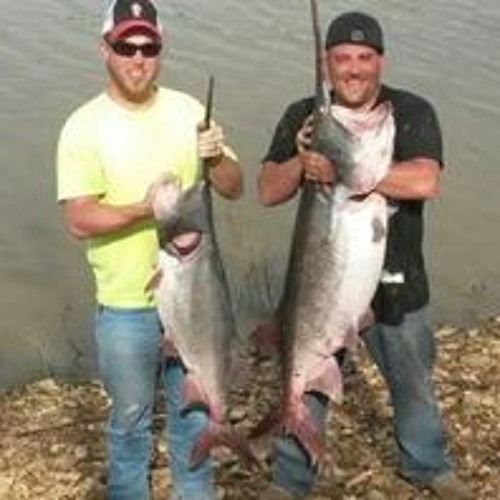 Stream Nicholas James Cline music | Listen to songs, albums, playlists ...