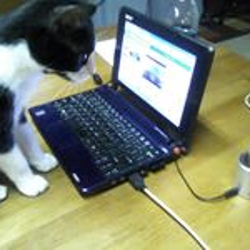 Stream Susan Ogren music | Listen to songs, albums, playlists for free ...