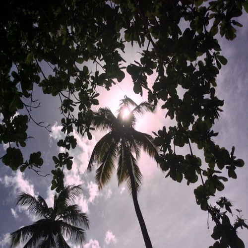 Stream Michael Kempster music | Listen to songs, albums, playlists for ...