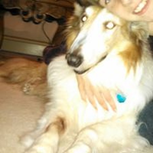 Stream John Harju Nelson music | Listen to songs, albums, playlists for ...