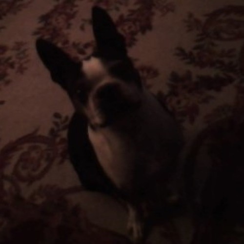 Stream Bryan Jacome 1 music | Listen to songs, albums, playlists for free on SoundCloud