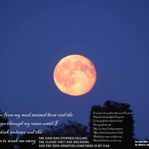 Stream Orange Moon music | Listen to songs, albums, playlists for free ...