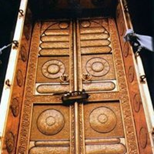 Stream Noha Mohammed Zaki music | Listen to songs, albums, playlists ...