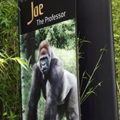 Stream Joe Carry music | Listen to songs, albums, playlists for free on ...