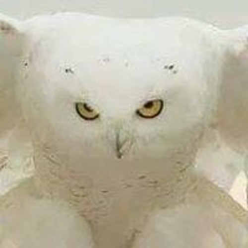 Stream Whitney Jo Lewallen music | Listen to songs, albums, playlists ...