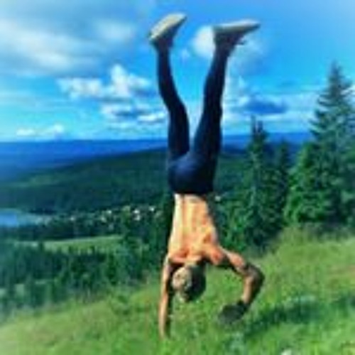 Stream Alvar Andres Virkus music | Listen to songs, albums, playlists ...