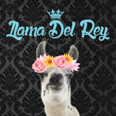 Llama Del Rey