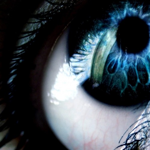 Stream OVXO Richard$ music | Listen to songs, albums, playlists for ...