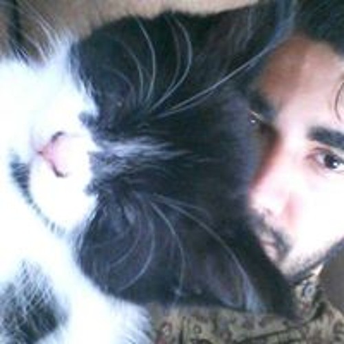 Stream Mo Haq 1 music | Listen to songs, albums, playlists for free on ...