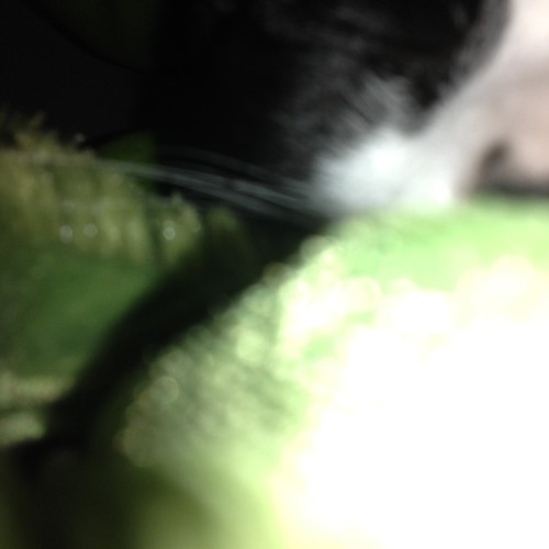 Stream Leo Mortimer music | Listen to songs, albums, playlists for free ...