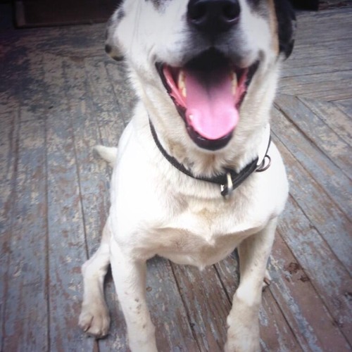 Stream claire samaha music | Listen to songs, albums, playlists for ...