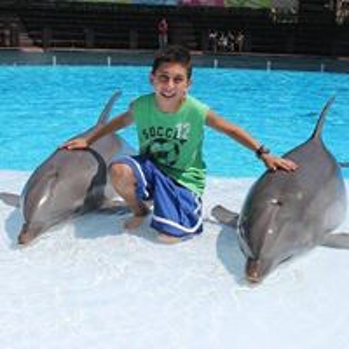 Stream Ron Rappaport music | Listen to songs, albums, playlists for ...