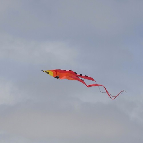 Stream Paul Rohwer music | Listen to songs, albums, playlists for free ...