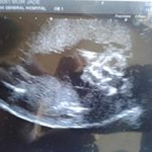 Stream Jade Muir music | Listen to songs, albums, playlists for free on ...