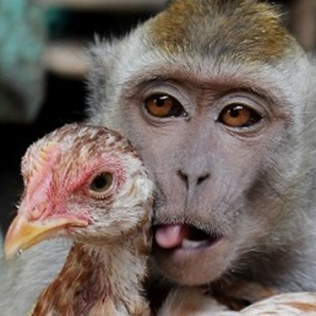 Stream rjrjrj music | Listen to songs, albums, playlists for free on ...