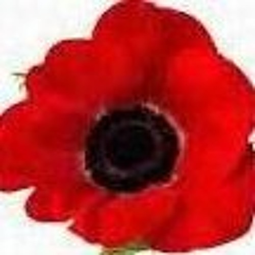 Stream Peter Maynard music | Listen to songs, albums, playlists for ...