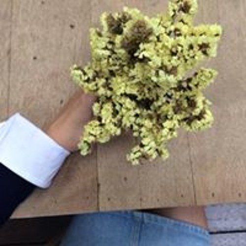 Stream Hong Sam music | Listen to songs, albums, playlists for free on ...