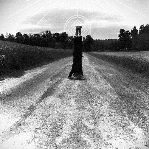 Stream Sarahsalix Music Listen To Songs Albums Playlists For Free