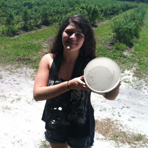 Stream Morgan Wall music | Listen to songs, albums, playlists for free ...