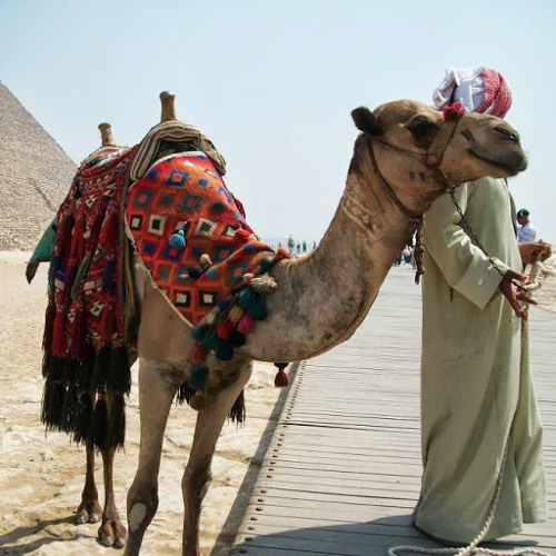 Stream Osama Momen music | Listen to songs, albums, playlists for free ...