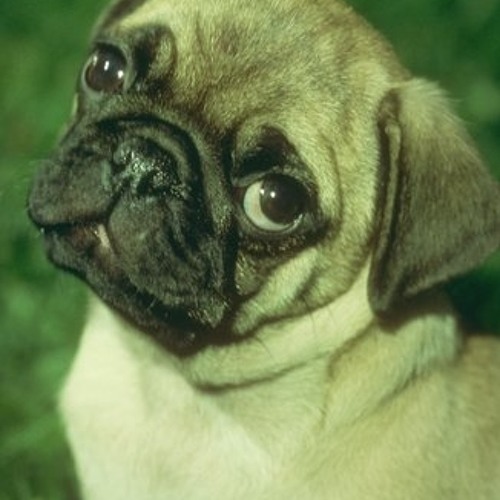 Stream Endless Loops music | Listen to songs, albums, playlists for ...