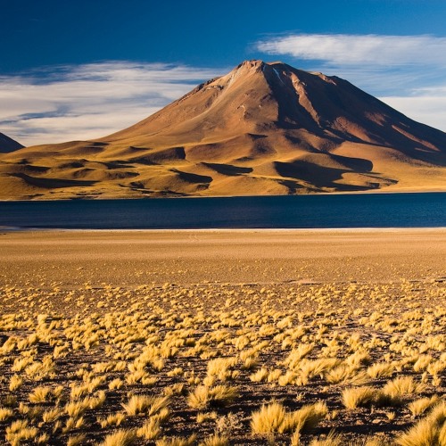 Stream Atakama Atakama music | Listen to songs, albums, playlists for ...