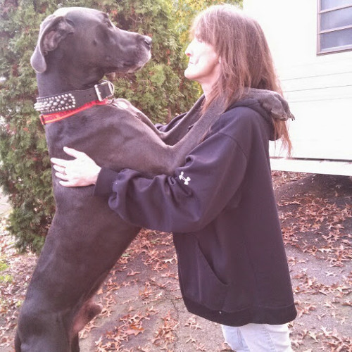 Stream Brenda Crafts music | Listen to songs, albums, playlists for ...